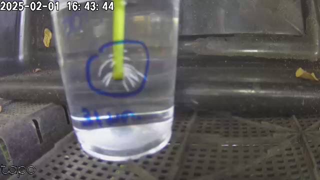 Cannabis Root Object Detection Model by Stem Cutting Cannabis