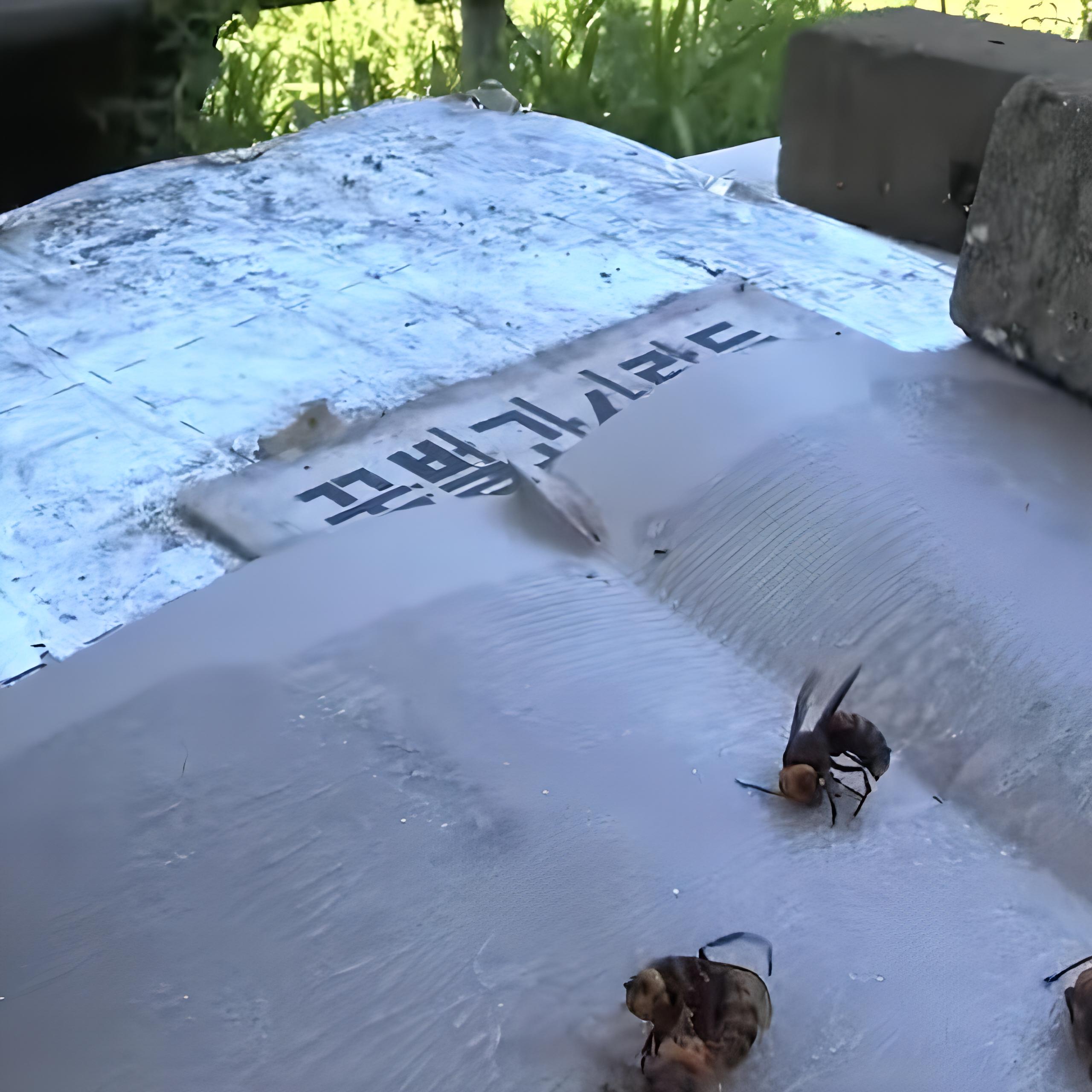 Hornet_detection640 Object Detection Dataset and Pre-Trained Model by Kwangwoon University