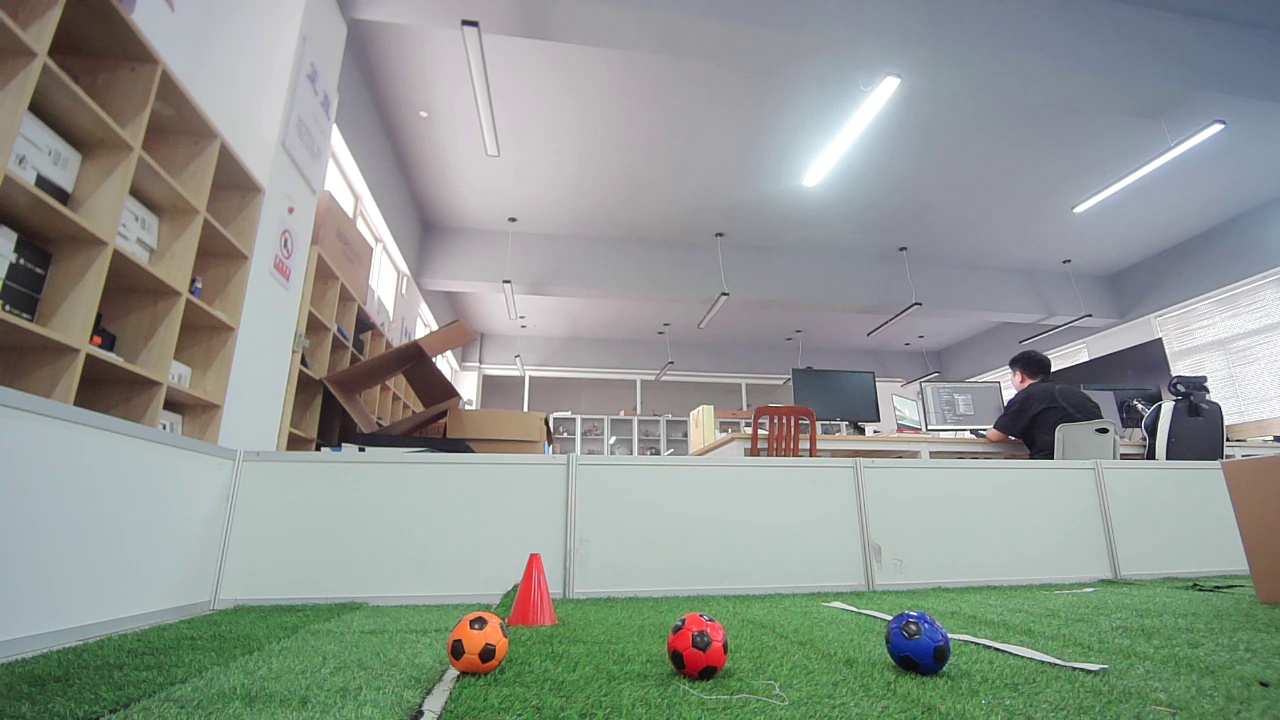 ball Object Detection Dataset by yuan yin