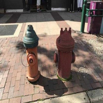 hydrant-Umbrella Object Detection Dataset by deteccion00