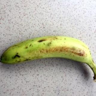 Trash Object Detection Model by Project dataset