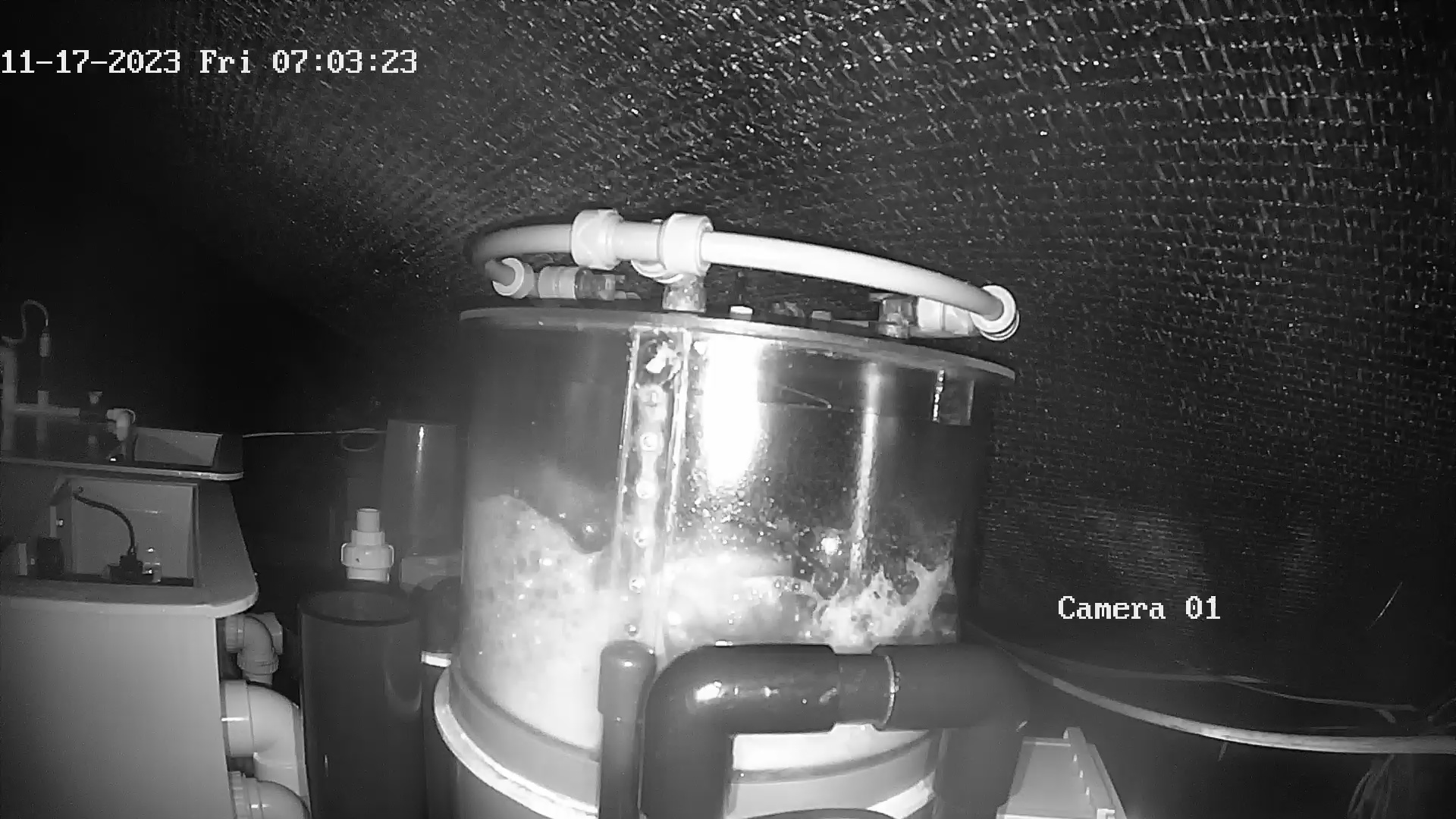 Skimmer Detection Dataset Object Detection Dataset By Project Hbmat