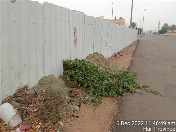 Street Objects Object Detection Dataset By Trt