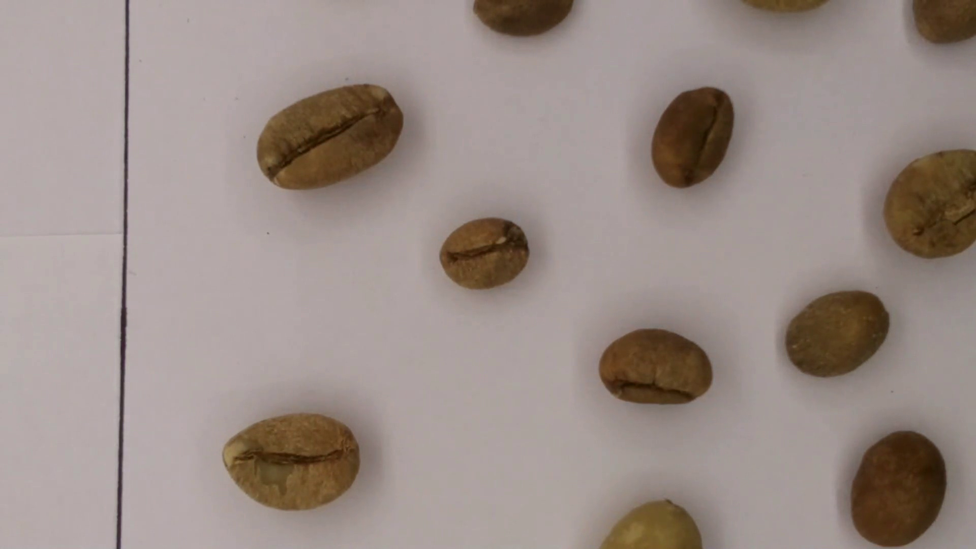 Normal Coffee Beans Object Detection Dataset by vinceamielluis@gmail.com