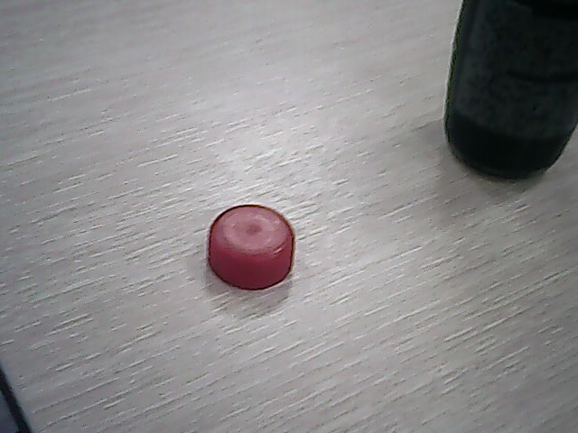 red shit Object Detection Dataset by miomio