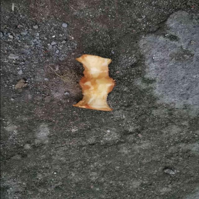 waste Object Detection Dataset and Pre-Trained Model by yzcroboflow