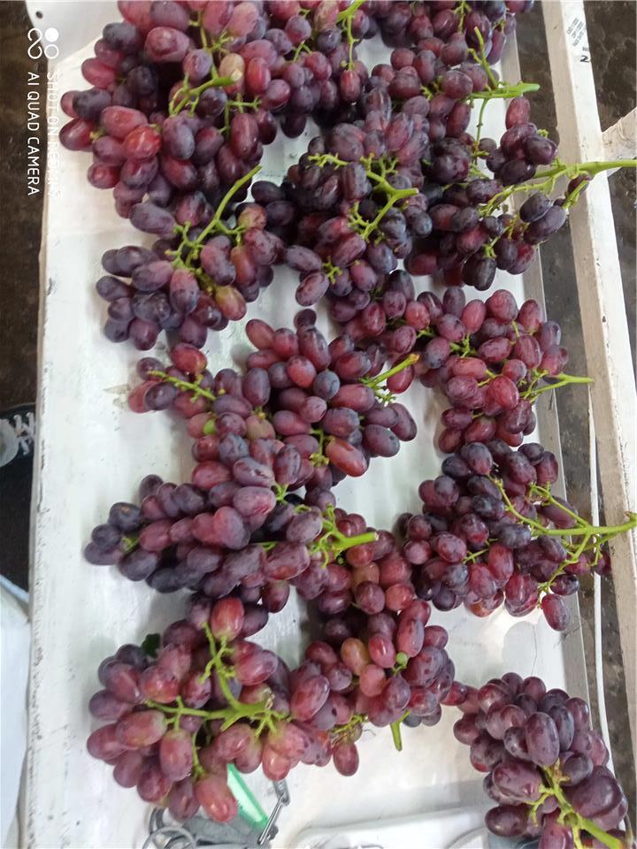 GAIA SPA - Roboflow Universe