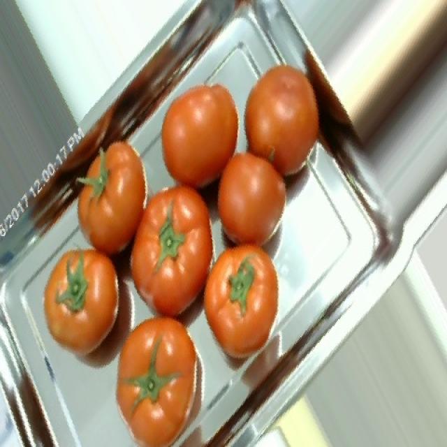 FruitQualityDetection Classification Model by FruitQualityDetection