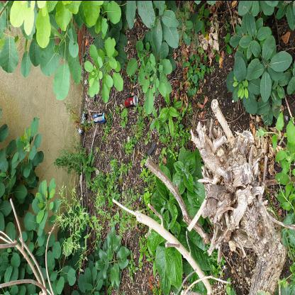 Garbage Classification Object Detection Model by Garbage Classification