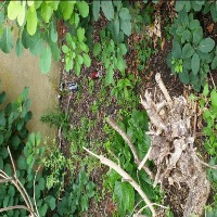 Garbage Classification (garbage-classification-scqyu) - Roboflow Universe