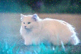 Cat Instance Segmentation Model by staj