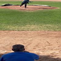 Annotation (annotation-cirdz) - Roboflow Universe