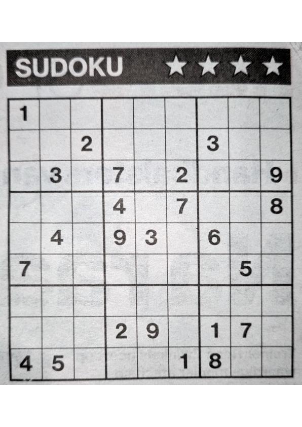 puzzles Instance Segmentation Dataset by puzzles