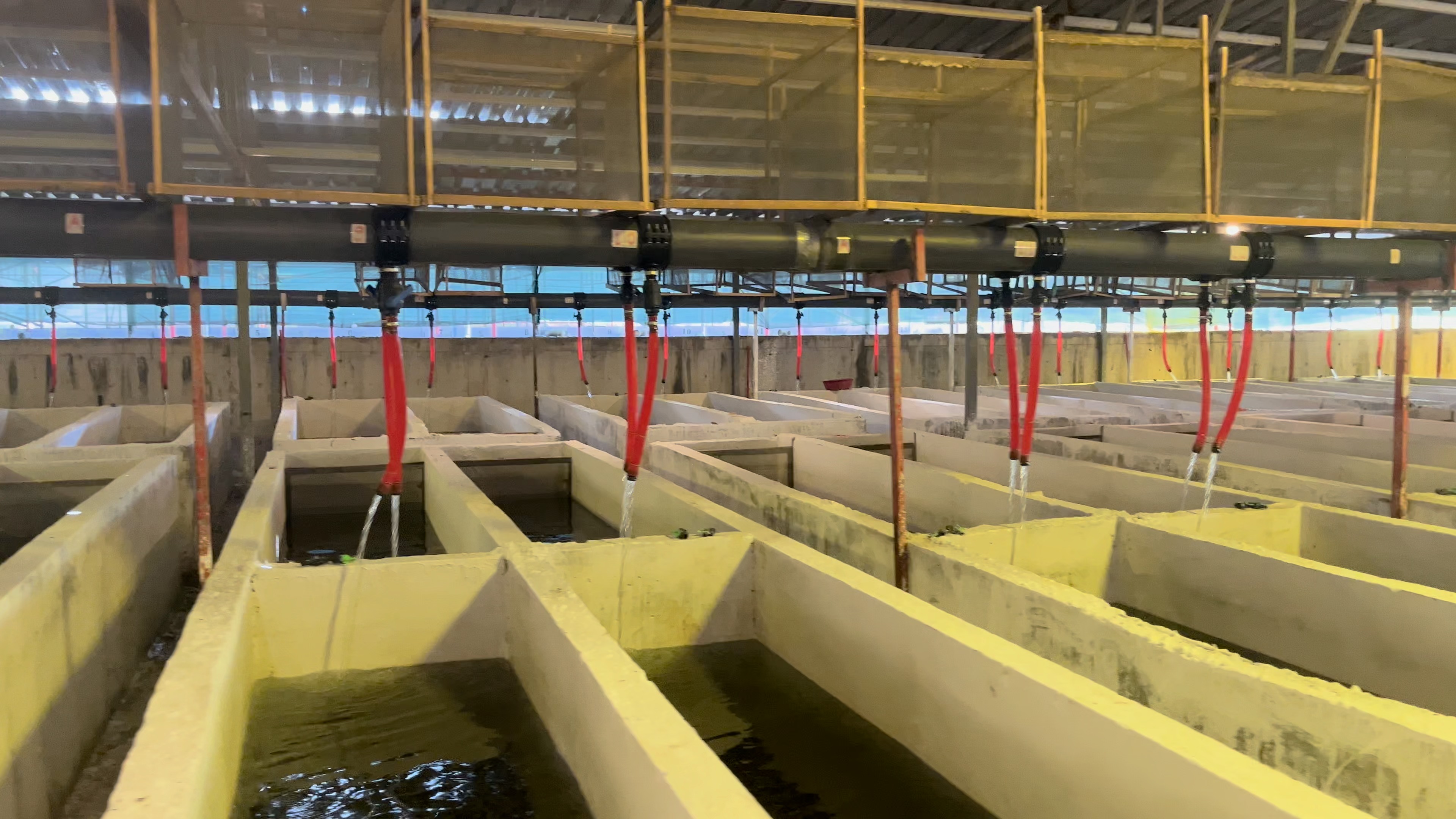 Detecting Flowing Water Object Detection Model by Samets work