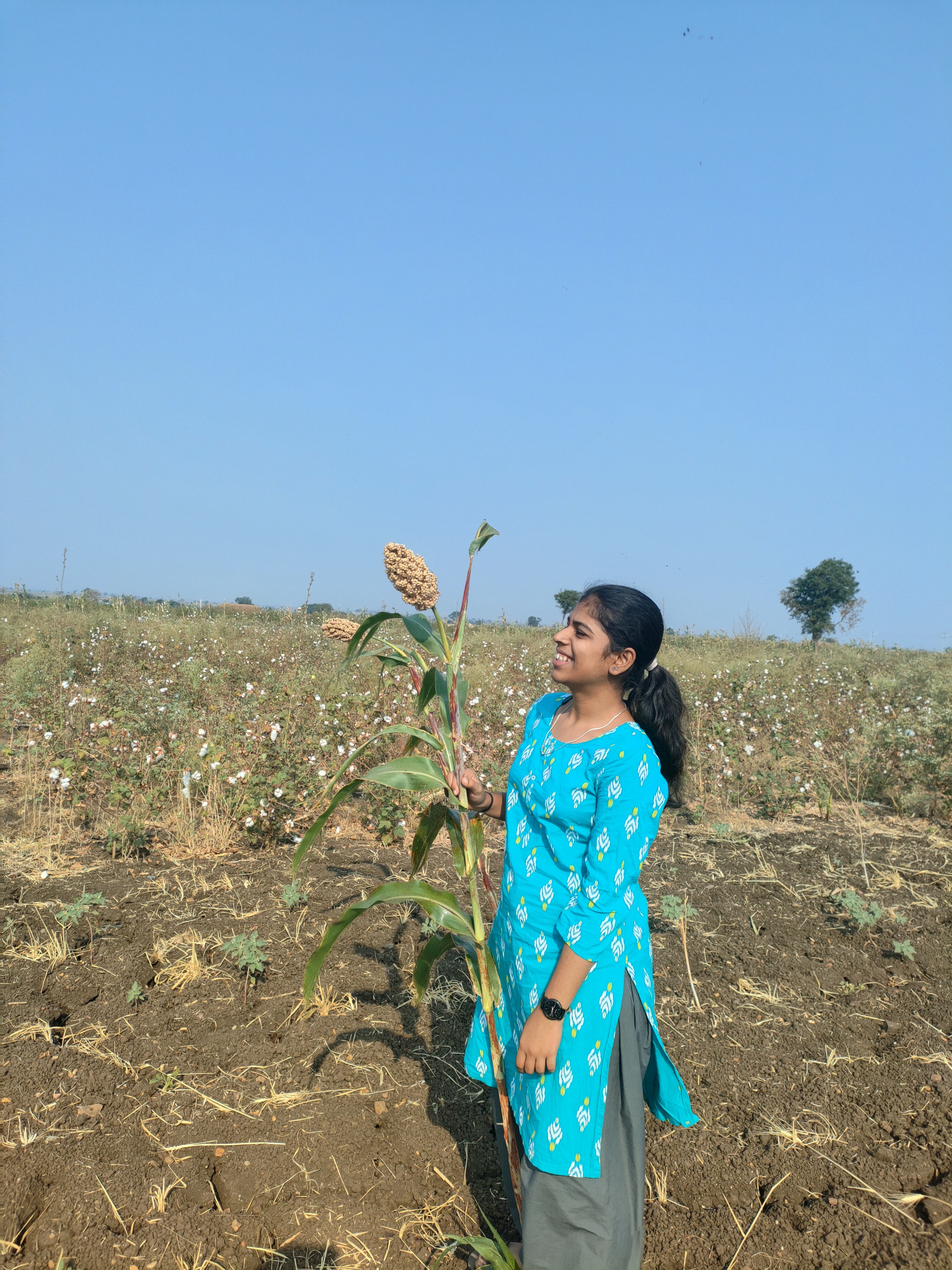 pavitra Object Detection Dataset by sdmcet