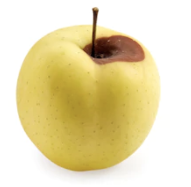 Apples Defects Object Detection Model by Apple Disease
