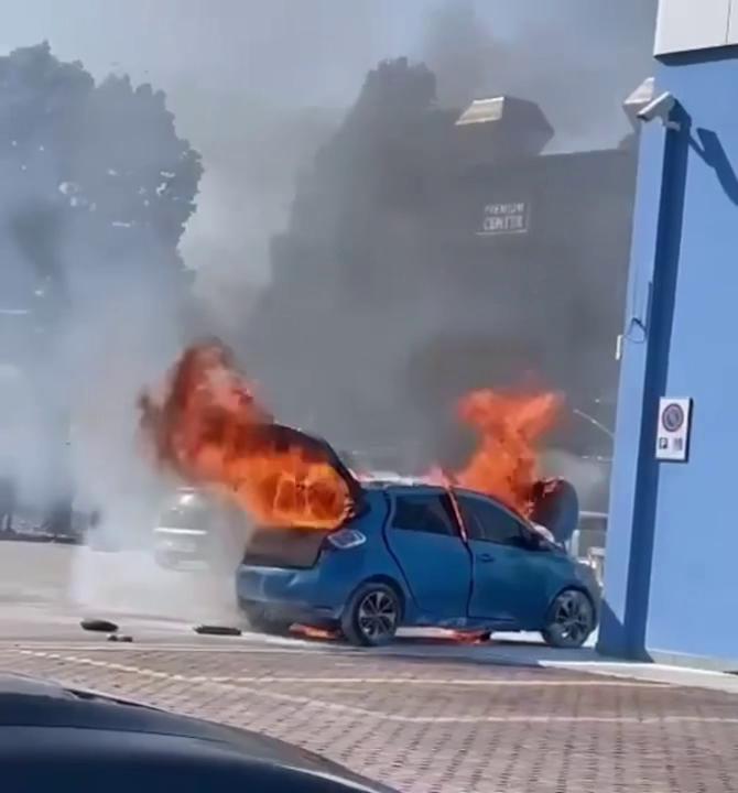 abcd Instance Segmentation Dataset by abcd