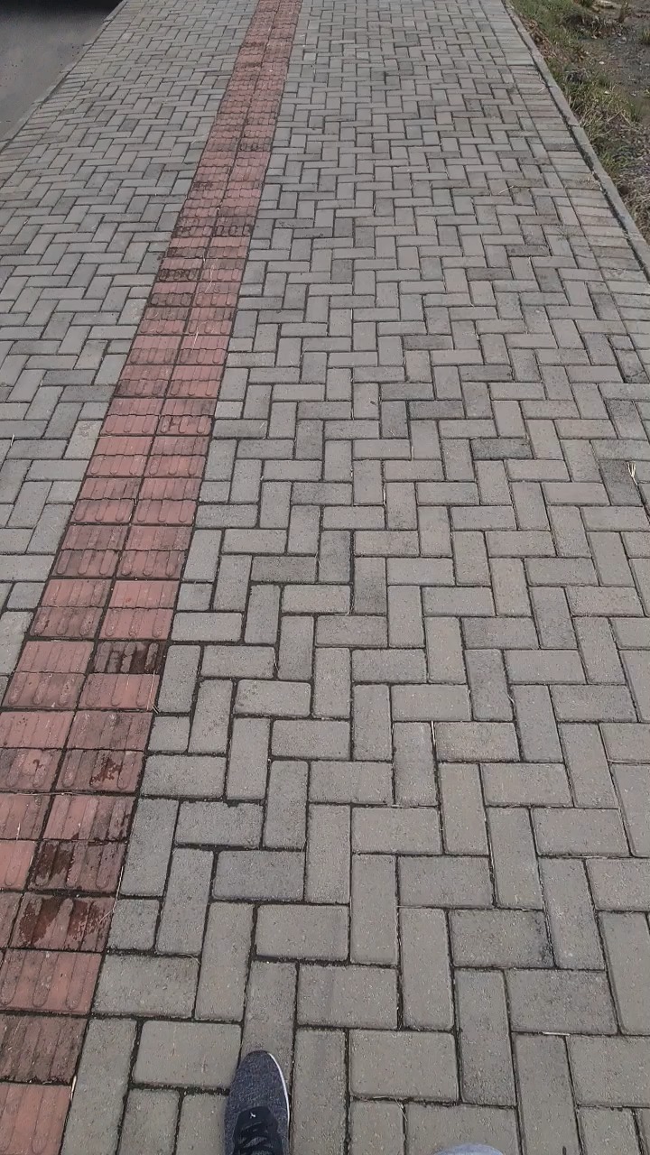 TCC Instance Segmentation Dataset by Ali