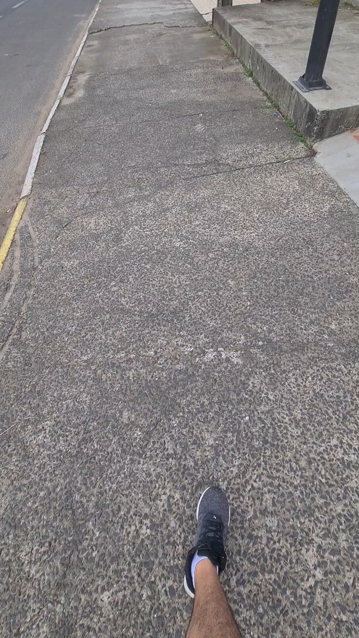 Eaeaea Instance Segmentation Dataset by Ali