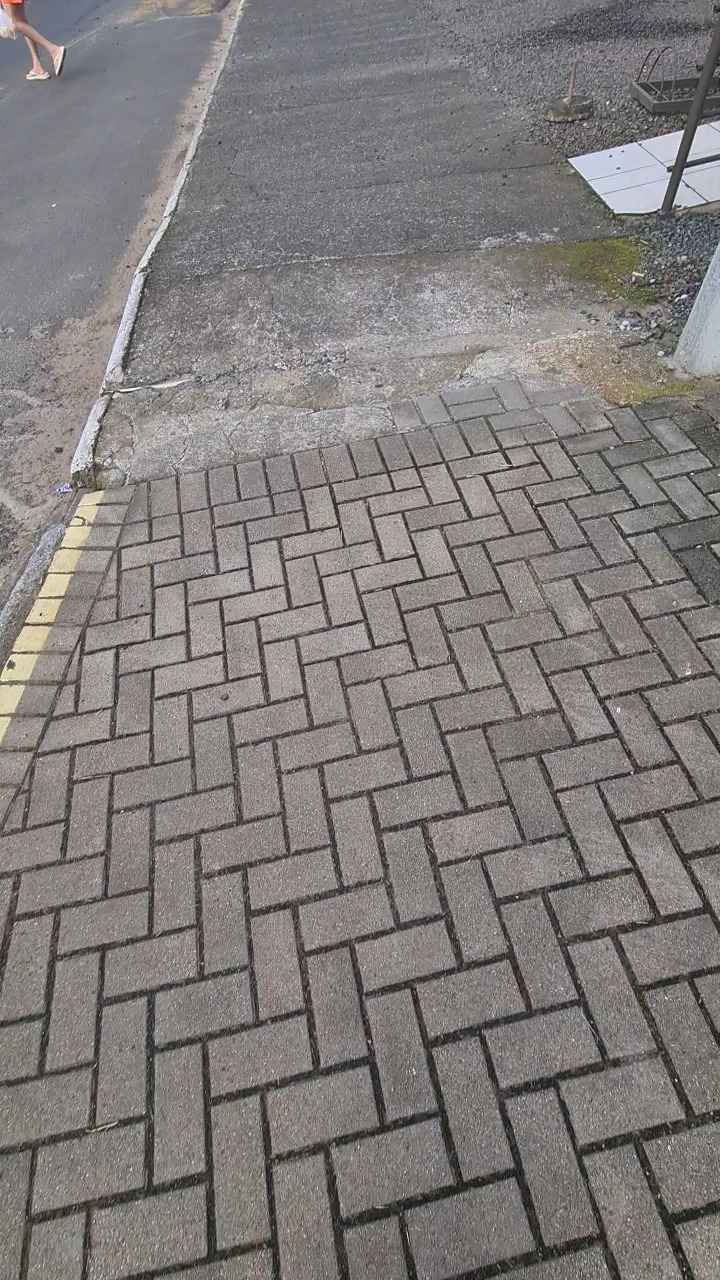 TCC2 Instance Segmentation Dataset by Ali