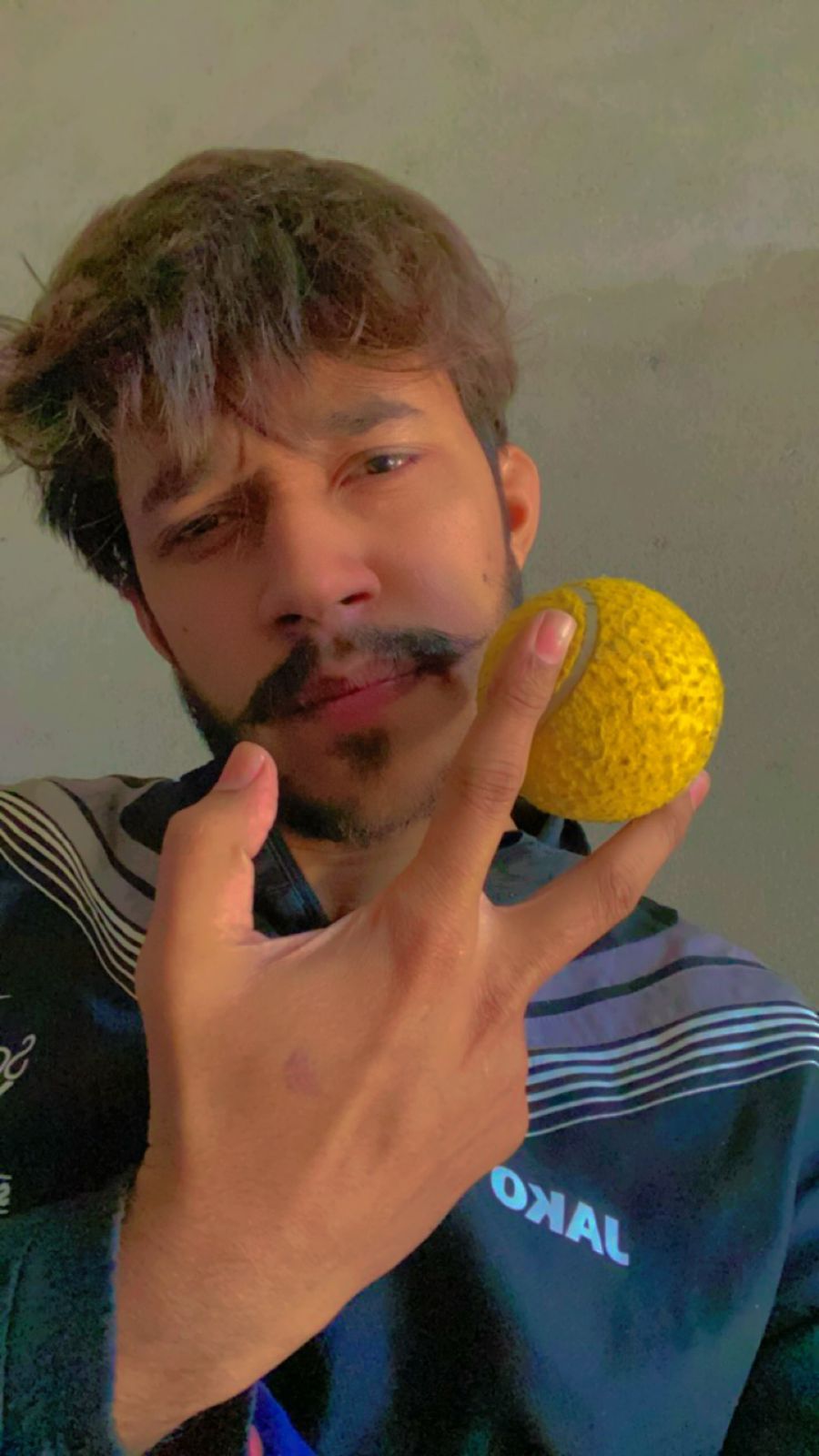 Bug Bash Blitz Object Detection Model by Rana Ali Haider