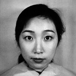 emotions dataset Classification Dataset by IGOR