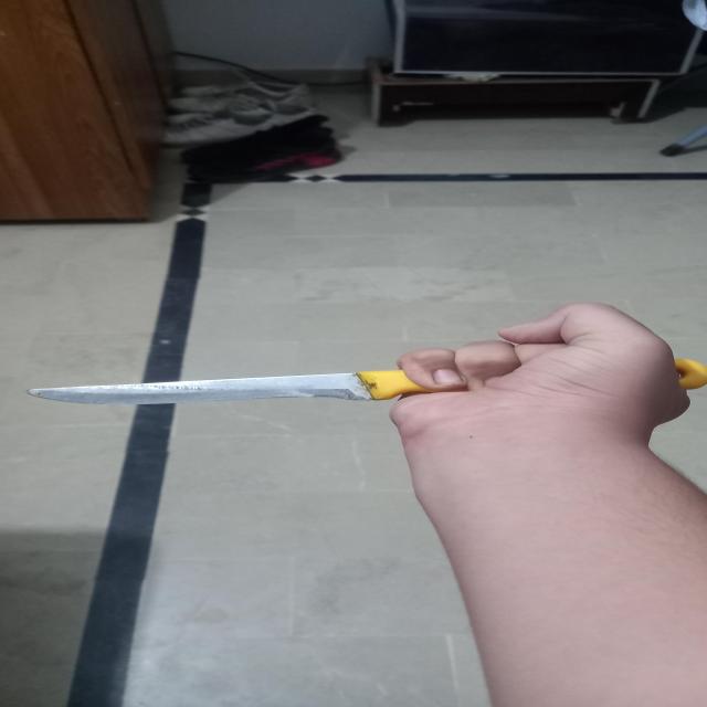 Knife Detection Object Detection Model by Brad