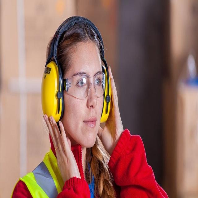 PPE Dataset for Workplace Object Detection Model by k