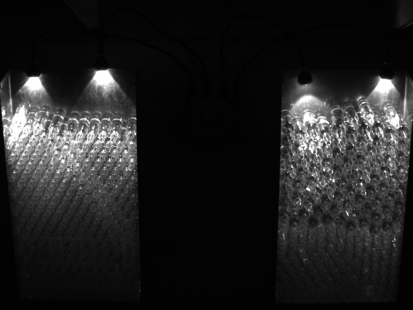 Ampoule Luo Bounding Boxes - only camera pics Object Detection Dataset ...