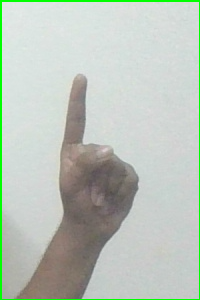 How to Use the hand sign Object Detection API