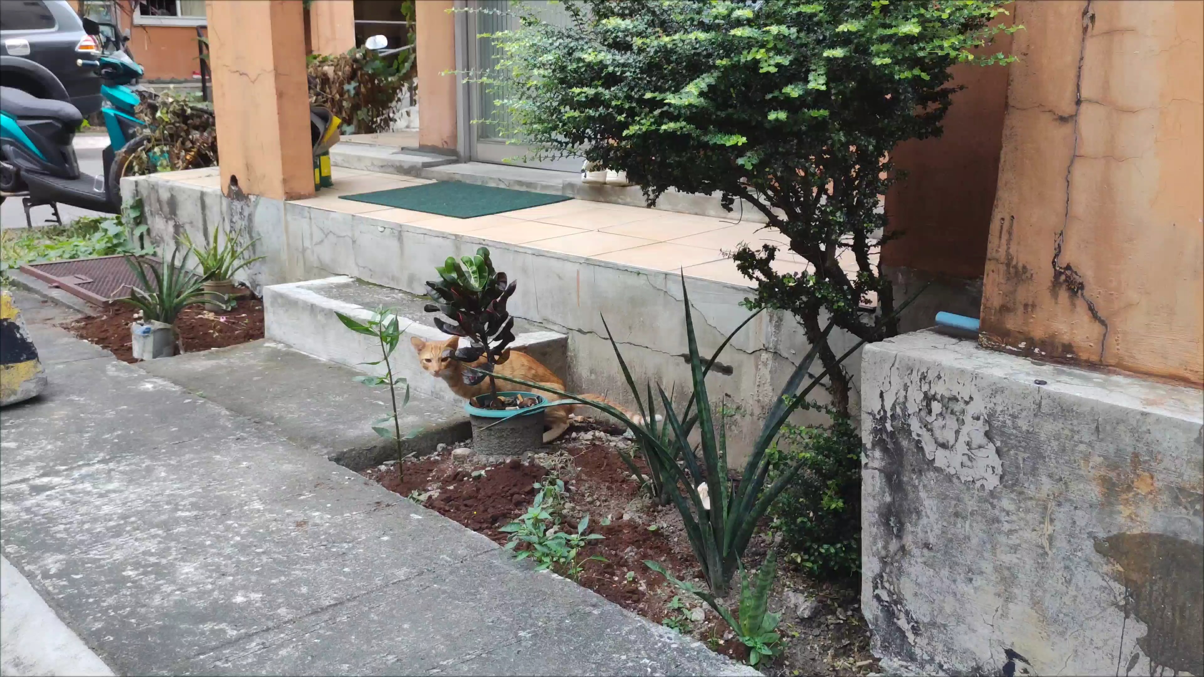 Sample (sample-6jof7) - Roboflow Universe