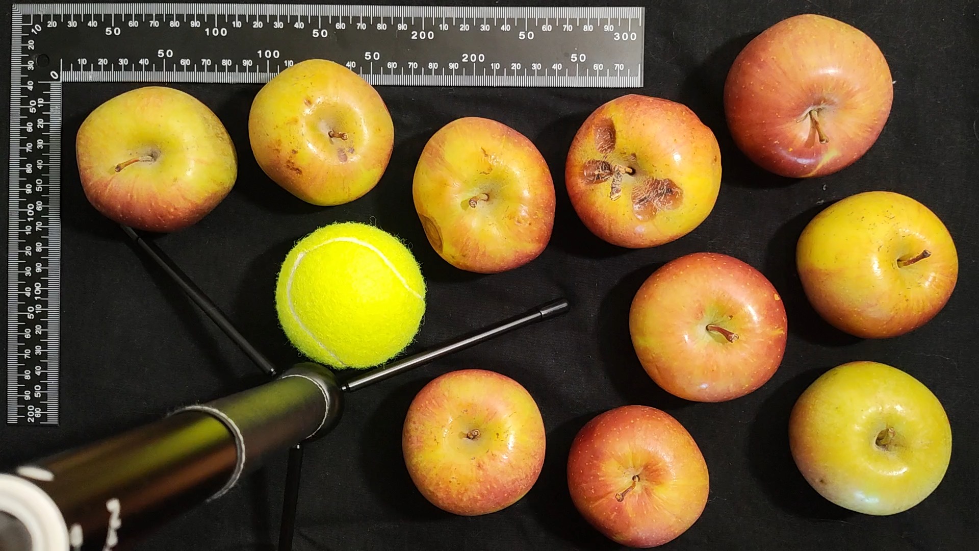 z,krjb Instance Segmentation Dataset and Pre-Trained Model by maple