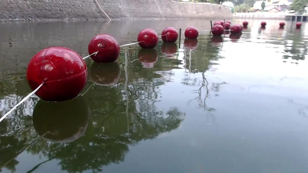 Ball Detection Object Detection Dataset And Pre Trained Model By