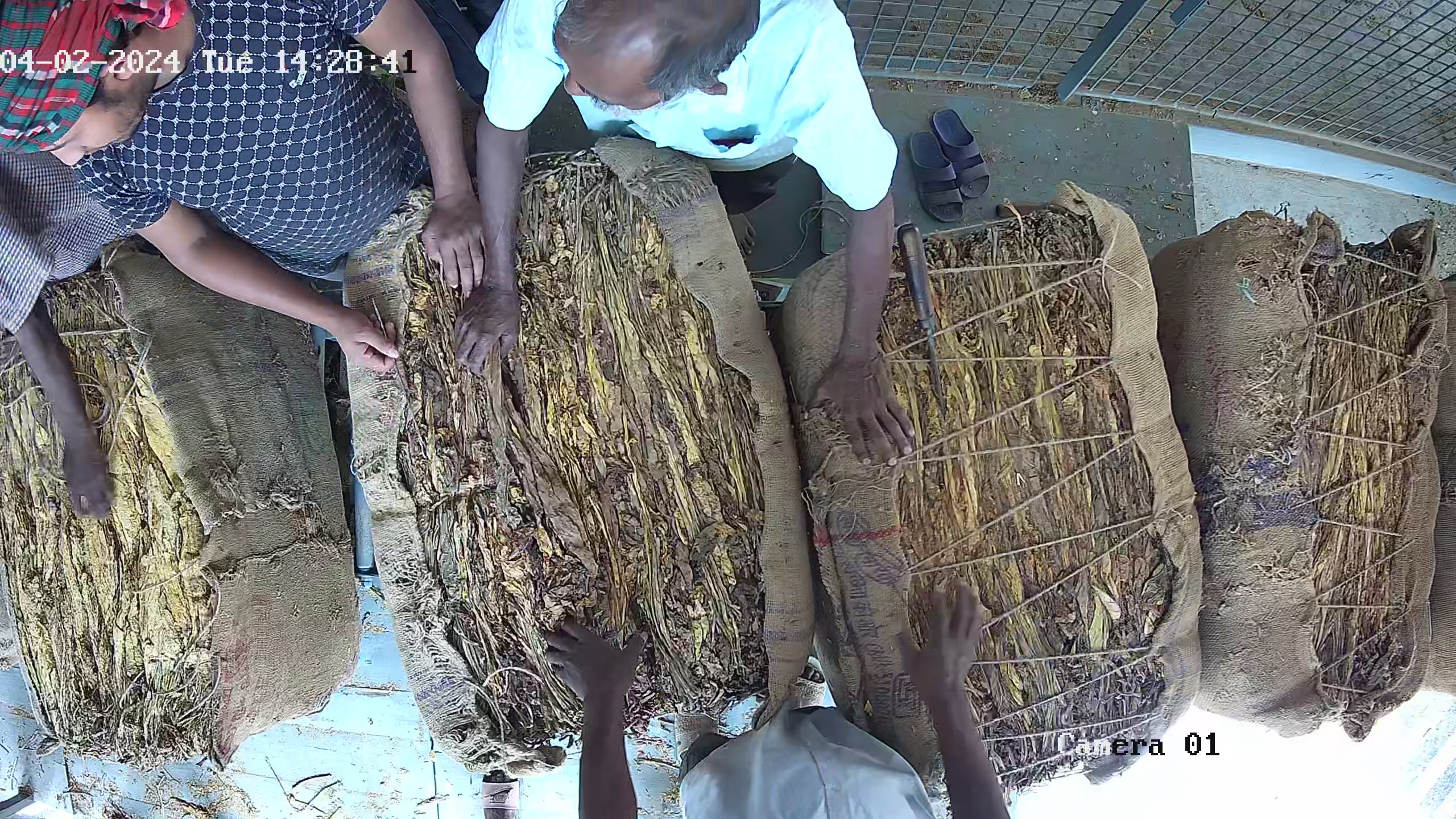 Team2 (team2-btich) - Roboflow Universe