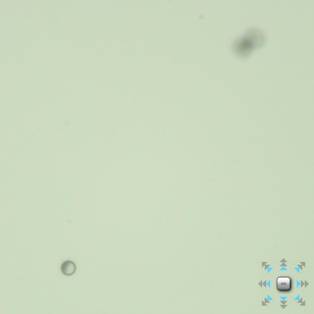 project1 Instance Segmentation Dataset by miemie s workspace