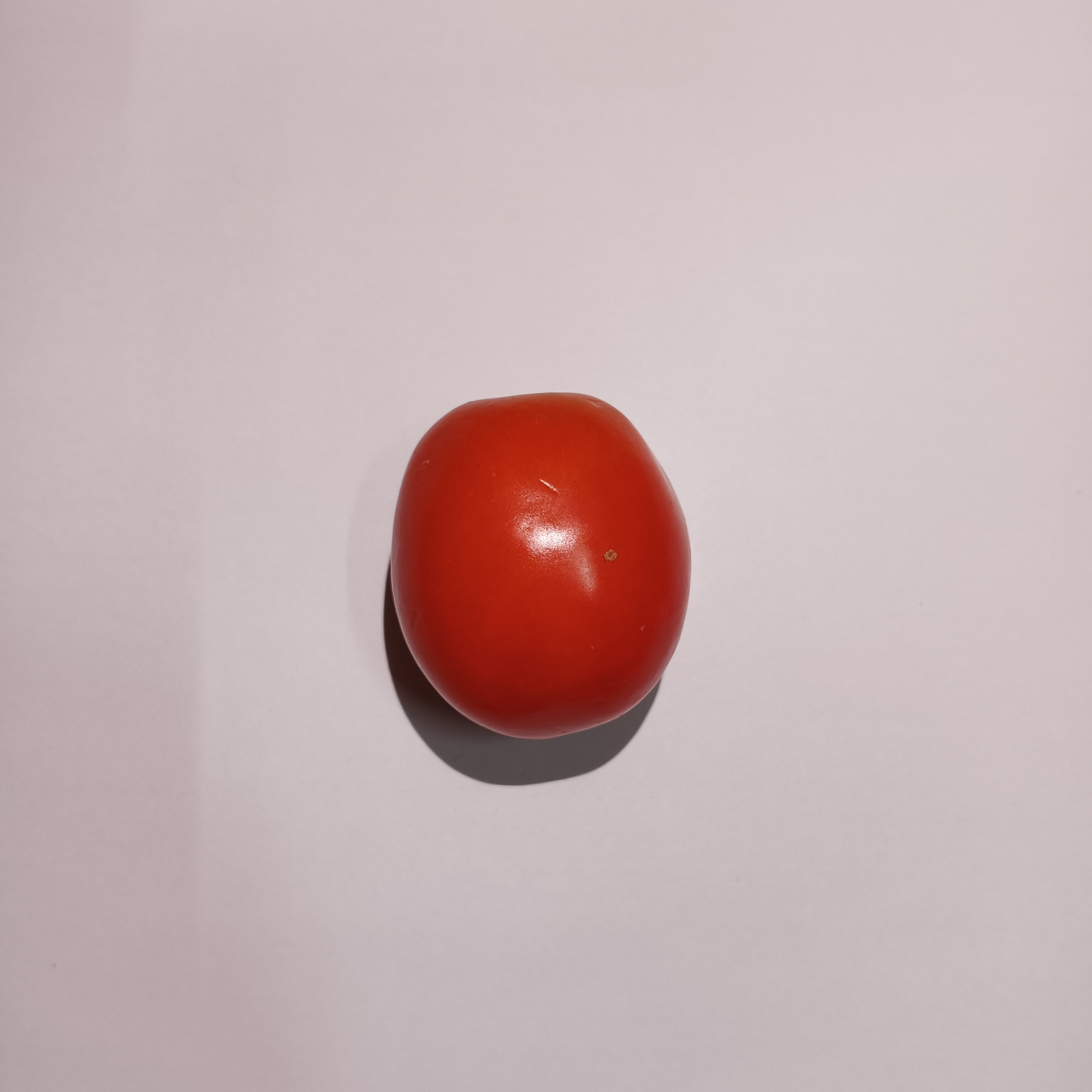 Tomato Ripe Unripe Sorter Object Detection Model by Robotics