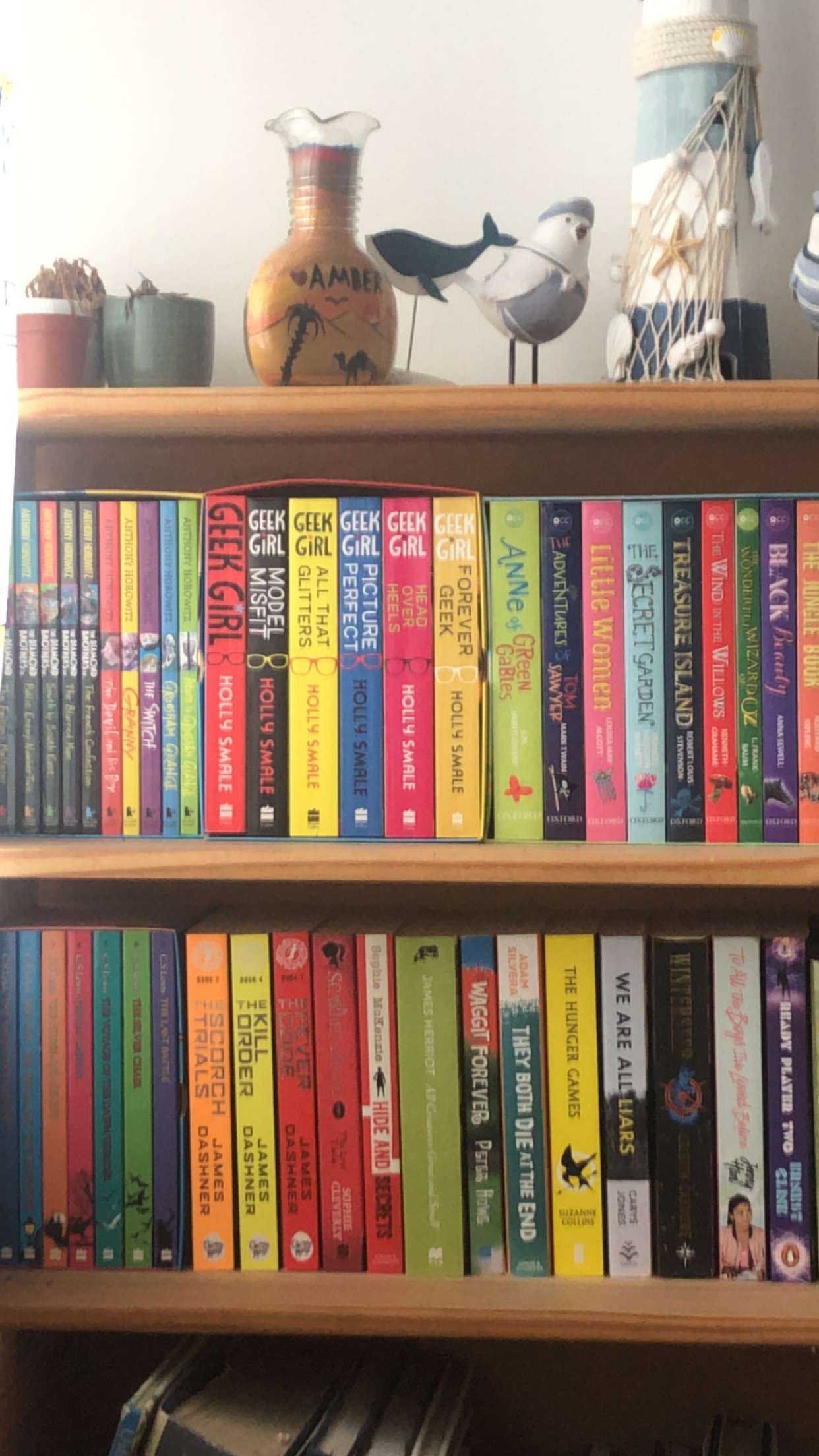 DAHL - Book Spine Identification Object Detection Model by Woody Willis