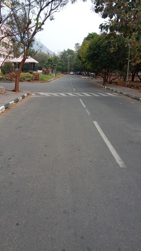 SpeedBump Object Detection Model by SpeedBumpDetection