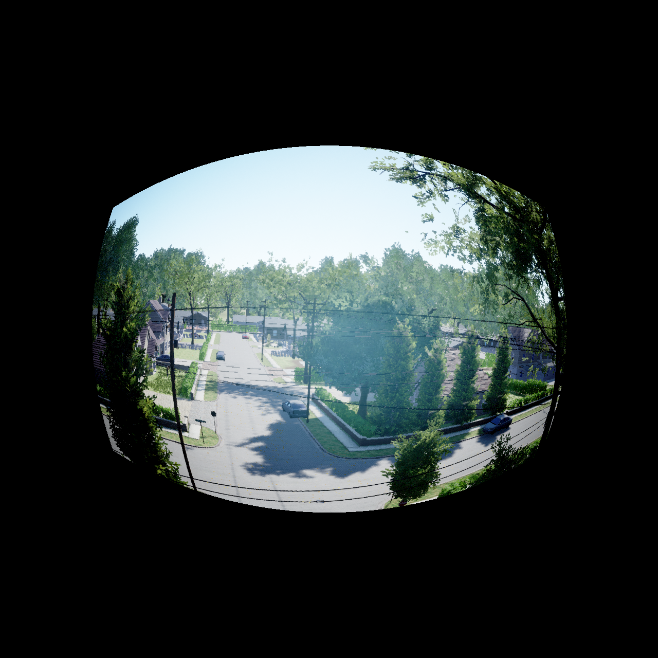 DDOS-Fisheye Instance Segmentation Dataset by Imperial College London