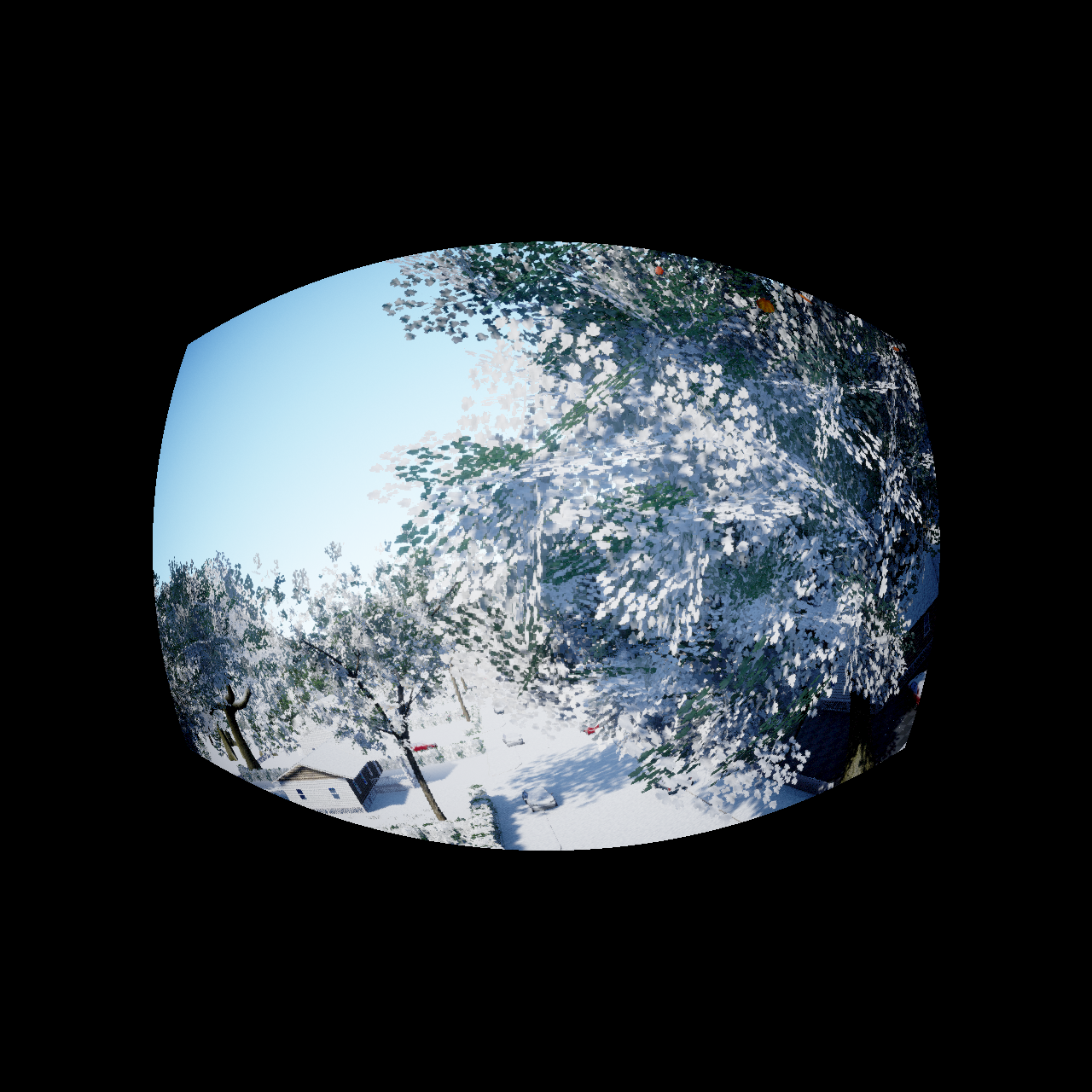 Fisheye-wires Instance Segmentation Dataset by Imperial College London