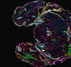 fghj Object Detection Dataset by magine process