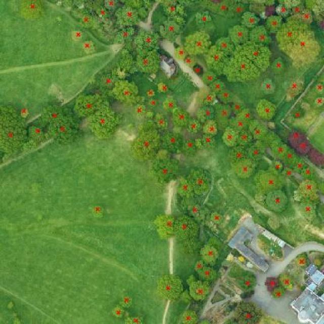 Tree Classification Semantic Segmentation Dataset by TreeTEC