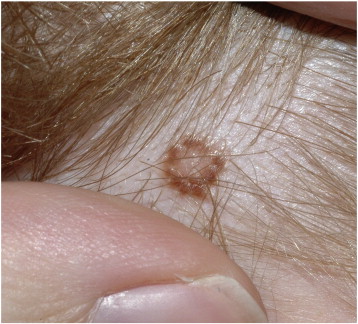 disaster-data Classification Dataset by Mukaddim Rahi