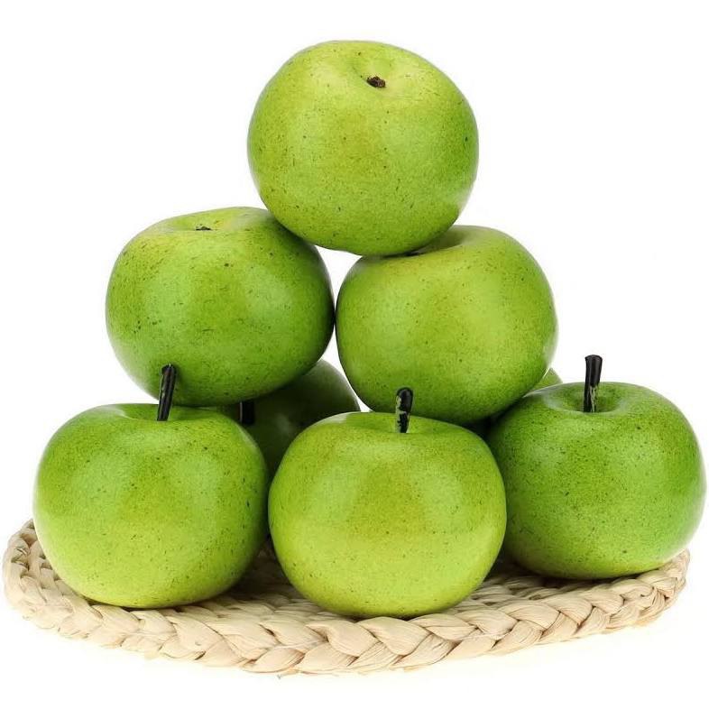 lab2 Object Detection Dataset and Pre-Trained Model by custom yolov5