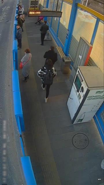 Crowd Counting Object Detection Model by MLProject