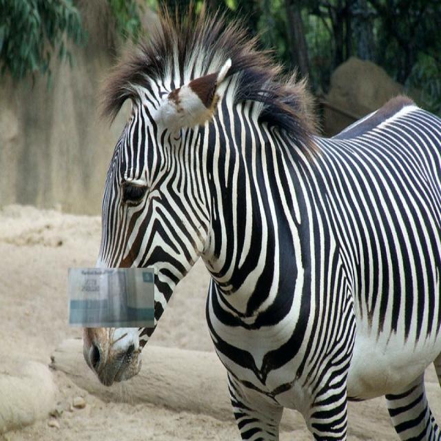 Money Detection Object Detection Dataset And Pre Trained Model By Egy Money Detection