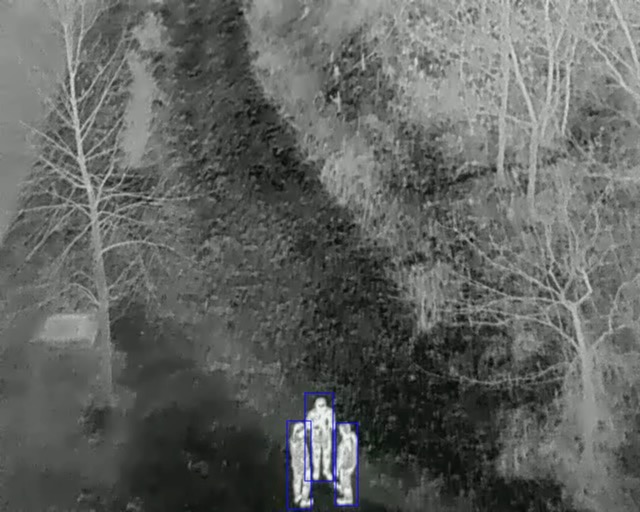 Capstone 1 Object Detection Dataset and Pre-Trained Model by Example penguin