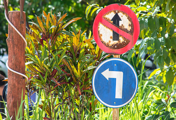 Detect And Recognize Traffic Sign Object Detection Dataset And Pre Trained Model By Qt 9643