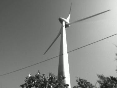 yolo segment - Roboflow Universe