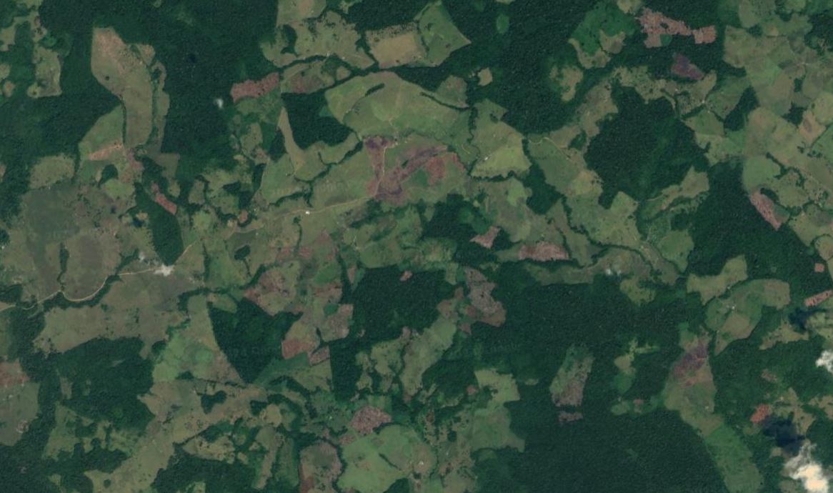 Deforestation Test Instance Segmentation Dataset By Test